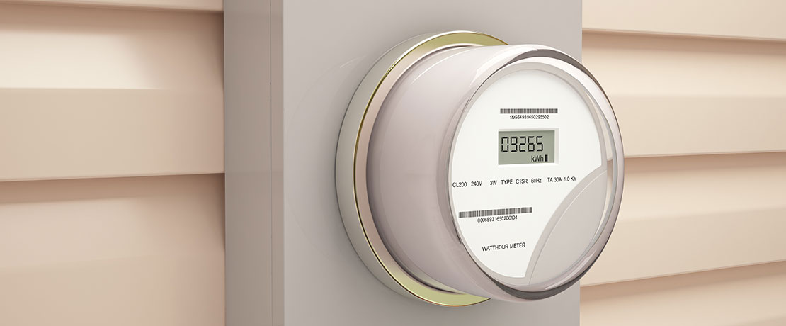 ERP Pro Smart Meter Access