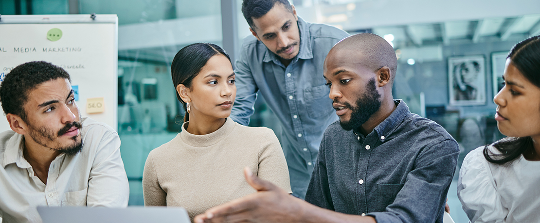 Audit Finding Management Application: Brochure