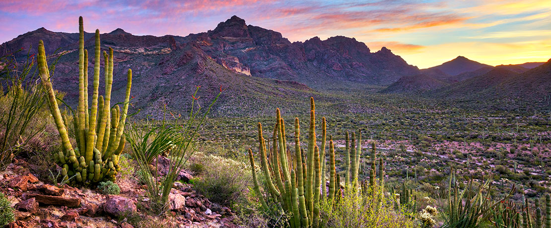 TEA Winner, 2019: City of Surprise, AZ