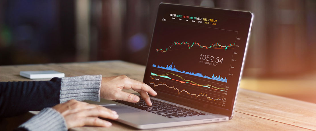 Enterprise ERP Capital Assets