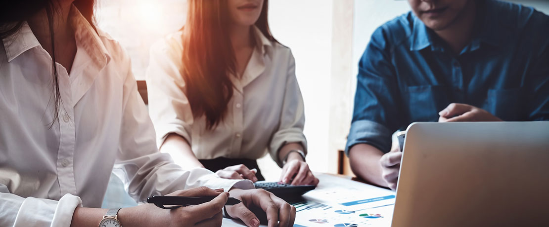 Enterprise ERP Performance Based Budgeting