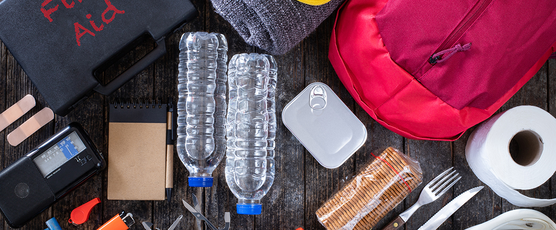 Disaster Recovery Services for Enterprise ERP